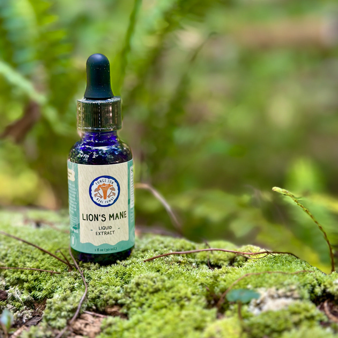 Fungi Tincture Trio (3-Pack) – Fungi Jon