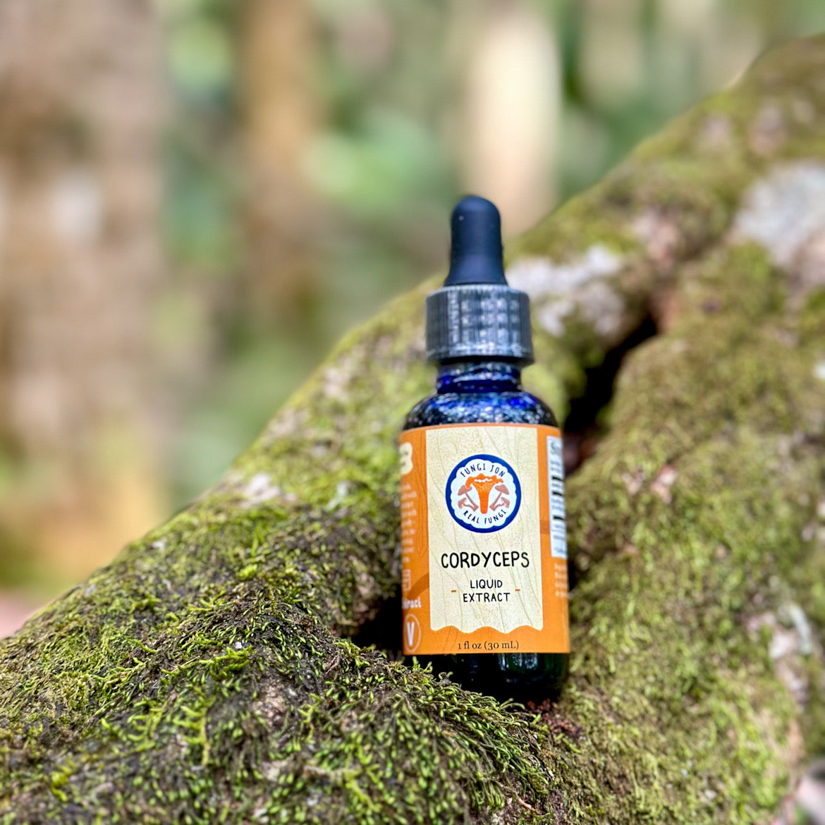 Cordyceps Liquid Extract – Fungi Jon